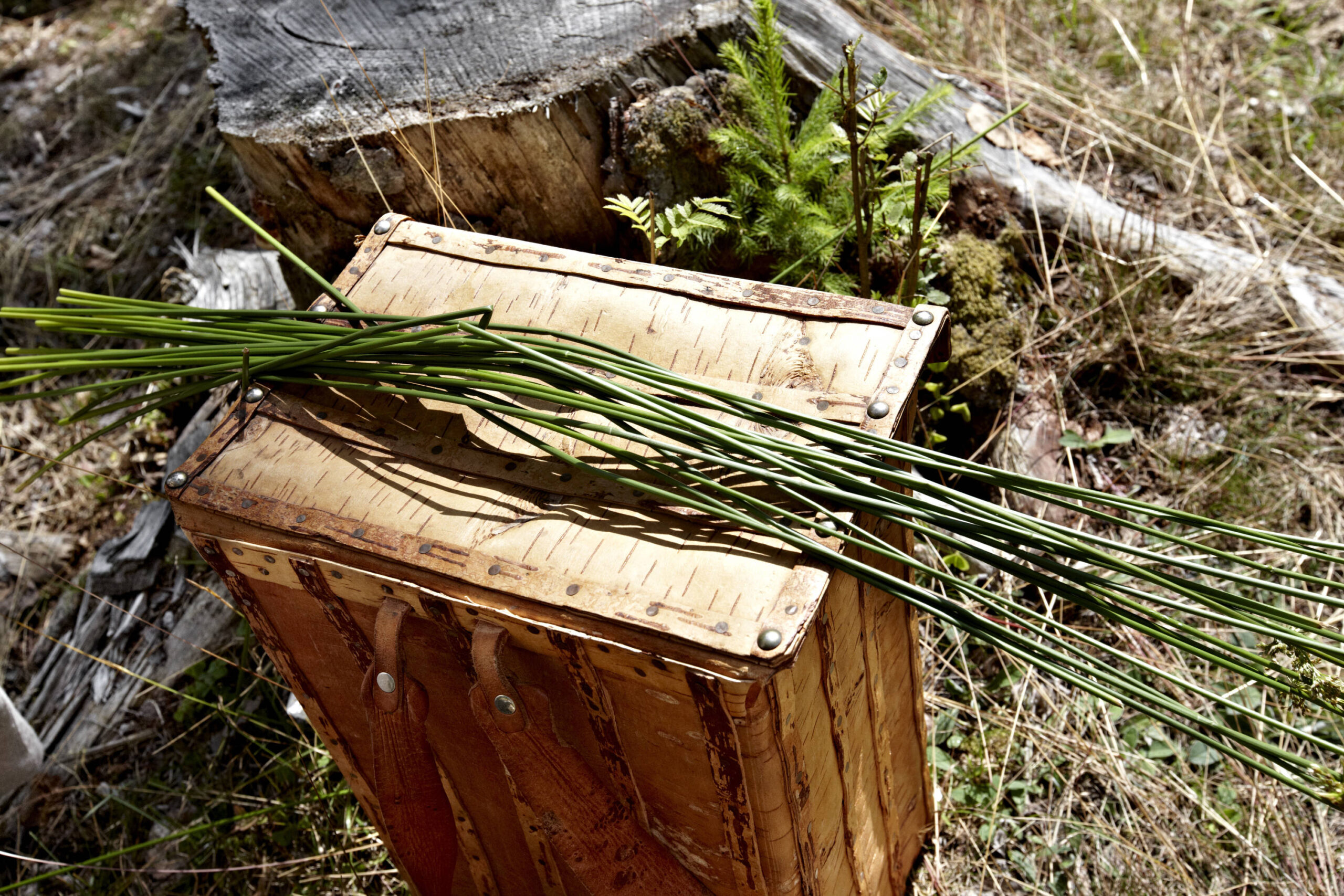 Korrö Health & Gourmet tours | Visit Småland