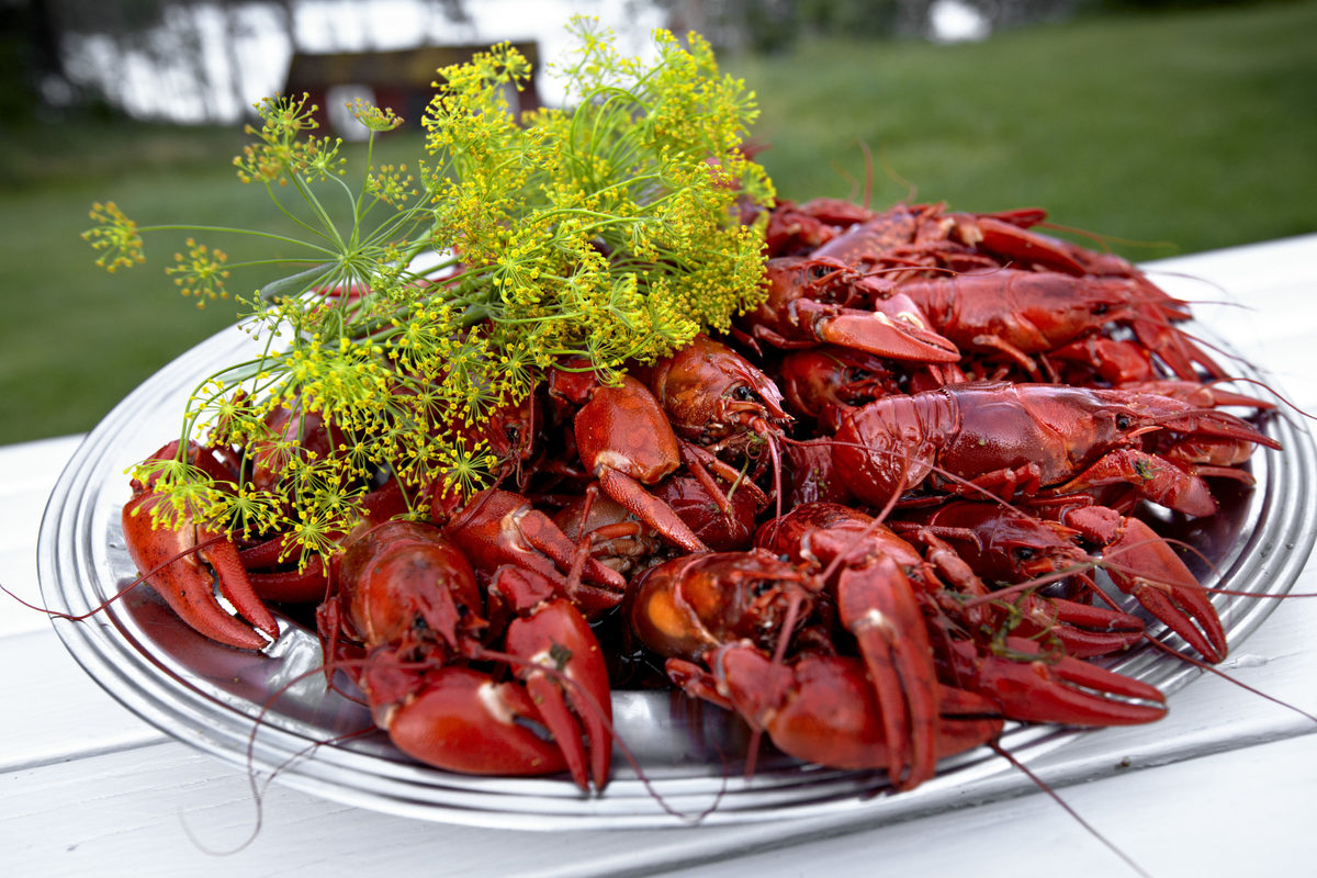 Crayfish - a genuine Småland tradition | Visit Småland