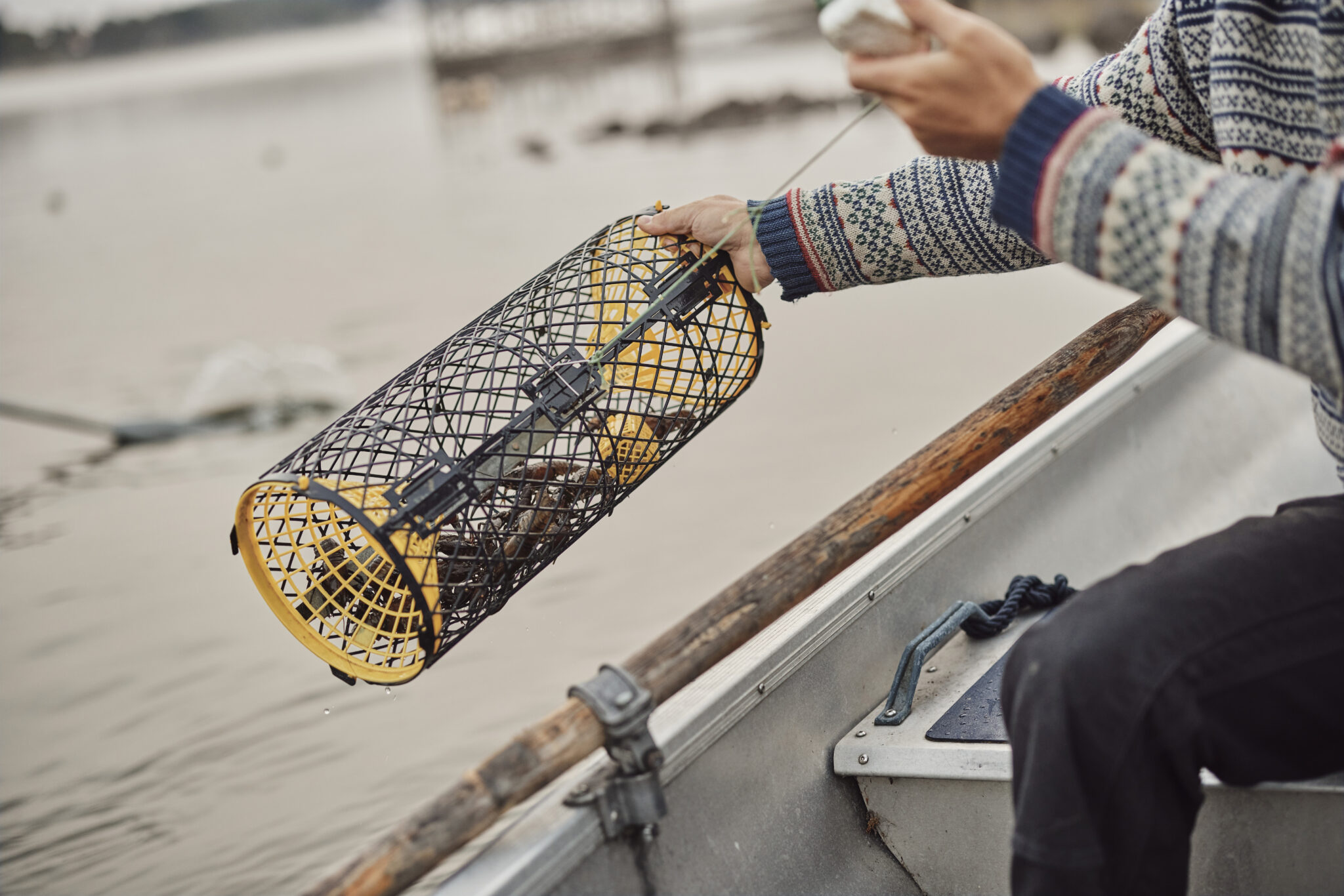 Crayfish - a genuine Småland tradition | Visit Småland