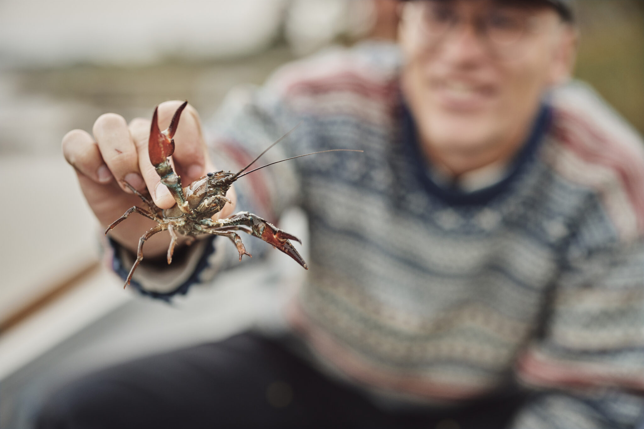 Crayfish - a genuine Småland tradition | Visit Småland