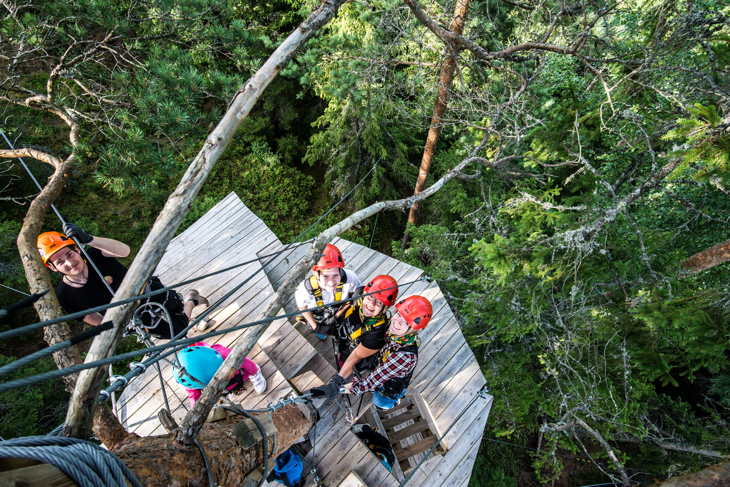 Little Rock Lake Zipline | Visit Småland